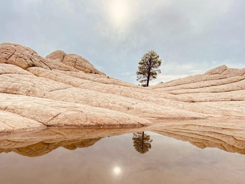 Kanab: White Pocket Rock Formation Tour - Key Points