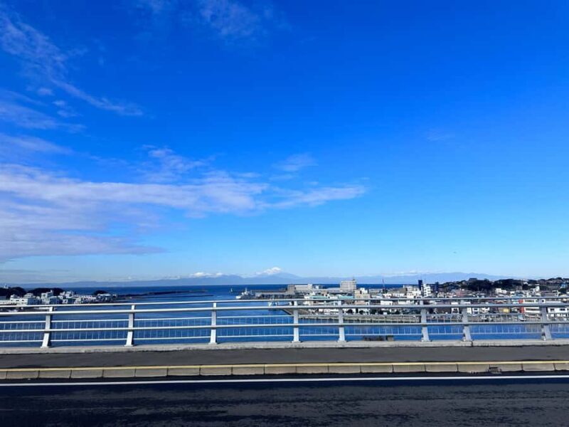 Kanagawa: Jogashima Island Tour with Scenic Views - Transport and Practical Details
