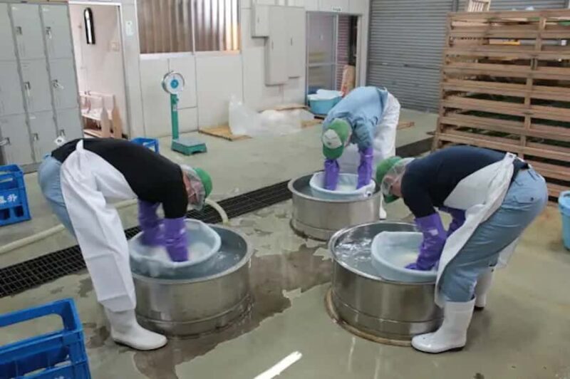 Kanagawa : Koganei Brewery Sake Tasting - Key Points