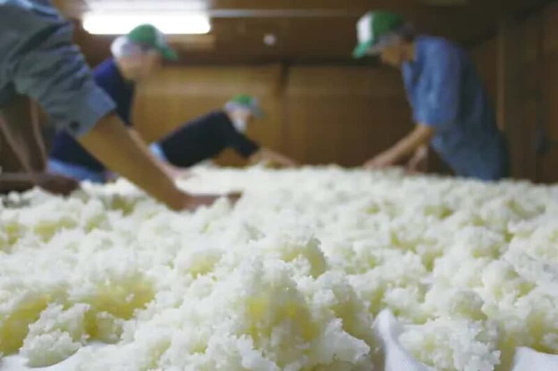 Kanagawa : Koganei Brewery Sake Tasting - What to Expect from Your Visit to Koganei Brewery