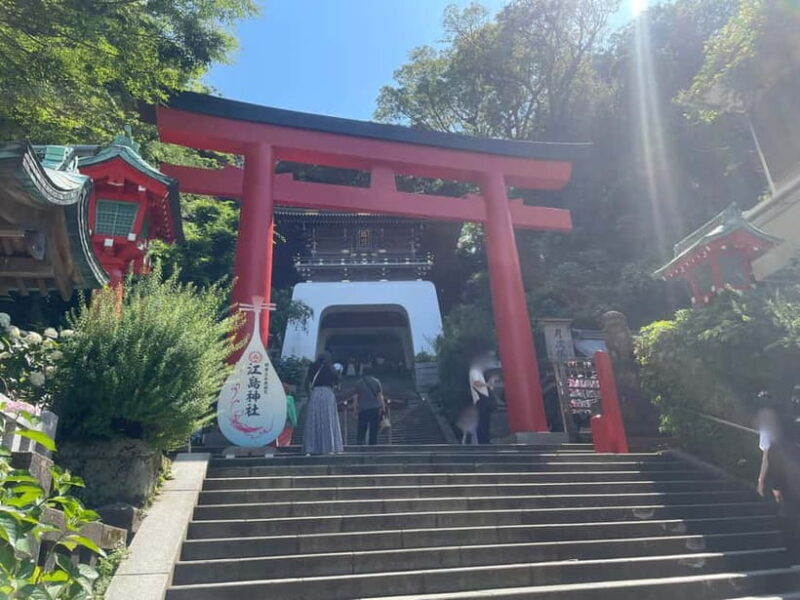 Kanagawa: Shopping and Historical Tour in Enoshima island - Who Is This Tour Best Suited For?