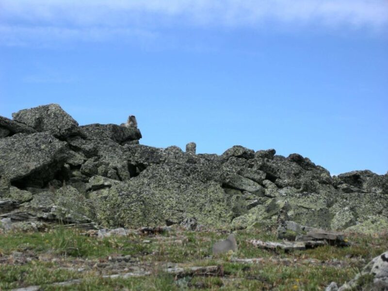 Kananaskis Country: Day Hike - The Experience: What Past Participants Say
