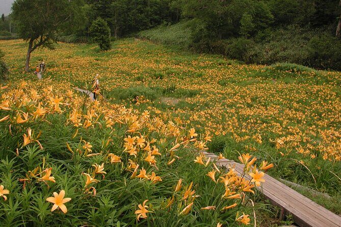 Kanazawa Day Tour: Shomyo Falls & Tateyama Mountain Walks - The Sum Up