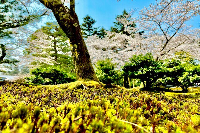 Kanazawa Full Day Private Tour to Top Highlights with Local Guide - Exploring Kanazawa in Depth: What to Expect