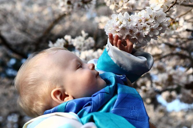 Kanazawa private half day/Photoshoot by professional photographer - In-Depth Look at the Itinerary