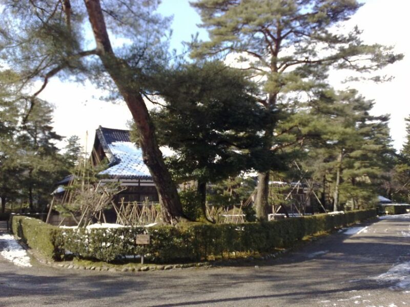 Kanazawa: Private Walking Tour with a Local - The Value of a Private, Personalized Tour