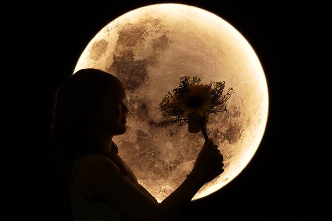 Kanazawa: Rental Kimono Selfie Photo Experience - Who Will Enjoy This Experience the Most