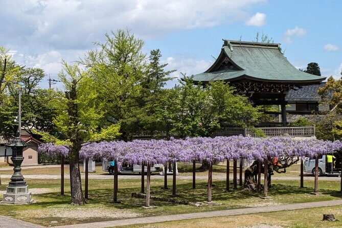 Kanazawa Tonami Tulips and UNESCO Gokayama - A Deep Dive into the Experience