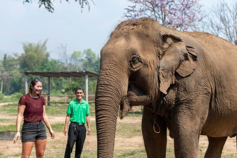 Kanchanaburi: Elephant Sanctuary & Erawan Waterfall Tour - Why This Tour Matters