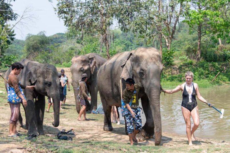 Kanchanaburi: Elephant Sanctuary & Erawan Waterfall Tour - Who Should Consider This Tour?