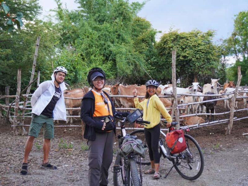 Kanchanaburi Sunset Ride with History and Homestyle Dinner - The Countryside Ride & Local Dinner in the Rice Fields