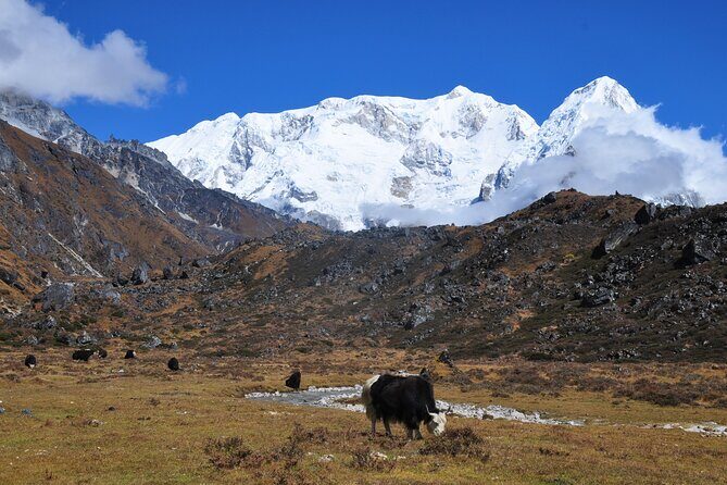 Kanchenjunga Circuit Trek - An In-Depth Look at the Kanchenjunga Circuit Trek