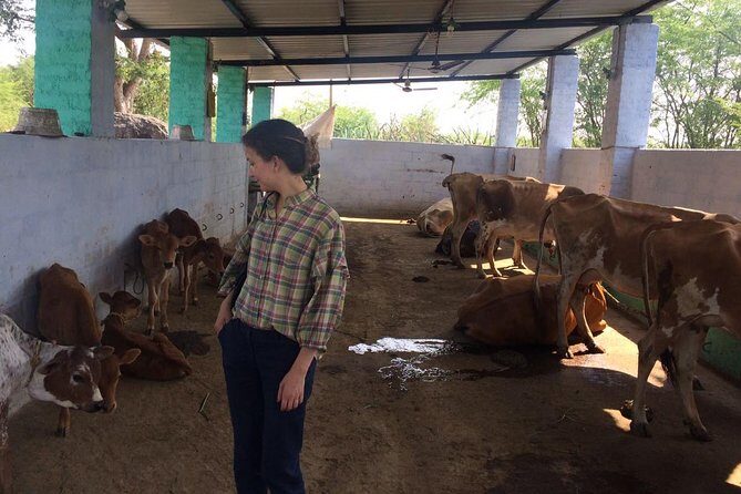 Kanchipuram tour from Chennai covering Temples & Silk Saree Weaving - An In-Depth Look at the Kanchipuram Experience