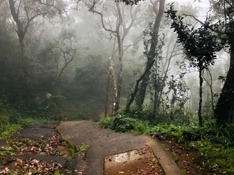 Kandy: Adam's Peak Guided Hike with Snacks and Pickup - Who Is This Tour Best For?