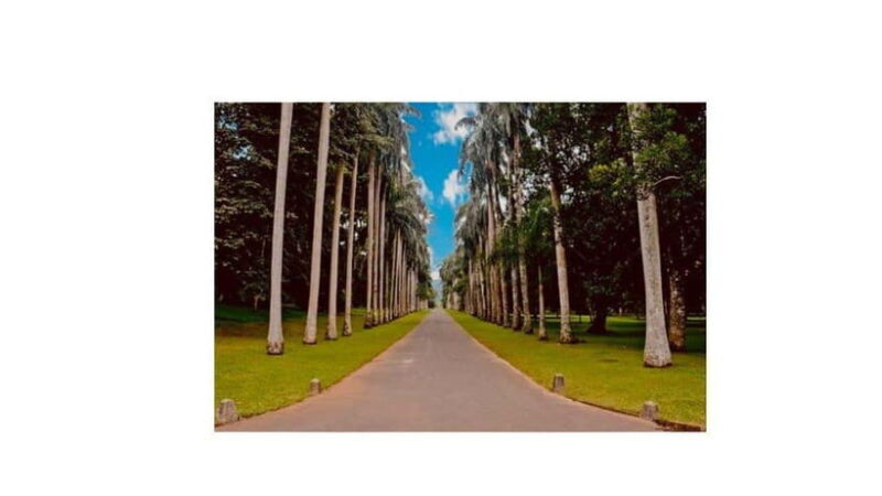 Kandy : All Inclusive City Tour By Tuk Tuk - Exploring the Heart of Kandy at Your Own Pace