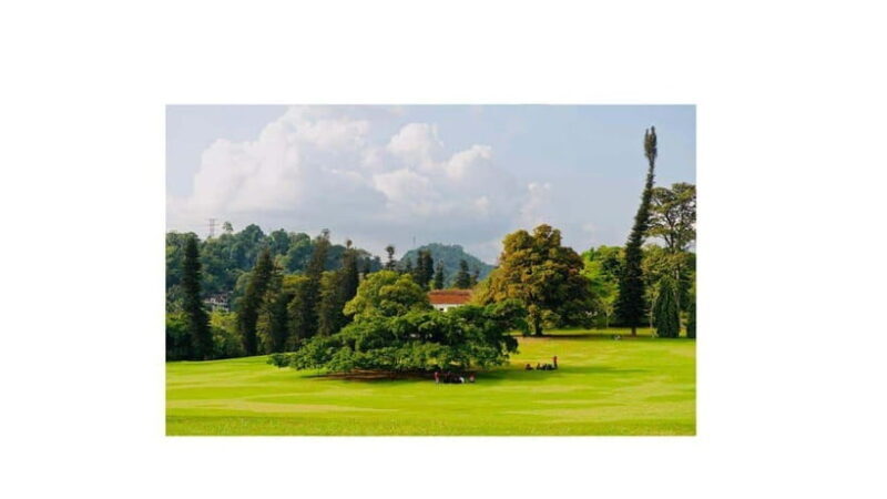 Kandy : All Inclusive City Tour By Tuk Tuk - Who this Tour is Best For