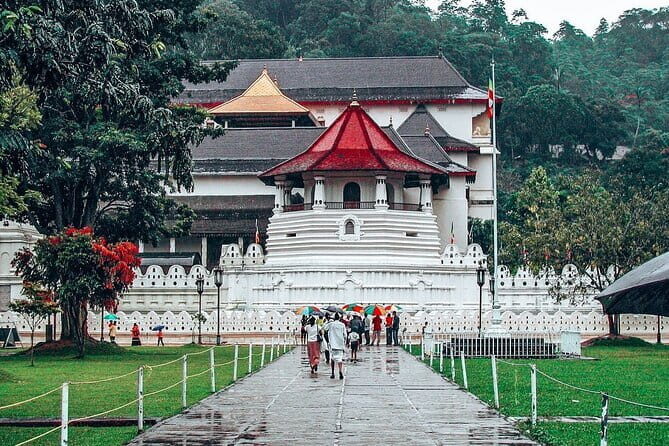 Kandy All Inclusive Day Tour from Colombo - Who Would Enjoy This Tour?