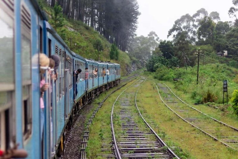 Kandy: All-Inclusive One Night Stay & Train Ride to Ella - The Sum Up