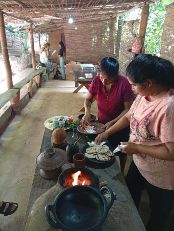 Kandy: Ambuluwawa, Pinnawala & Tea Factory by Tuk Tuk - Final Thoughts: Who Is It For?