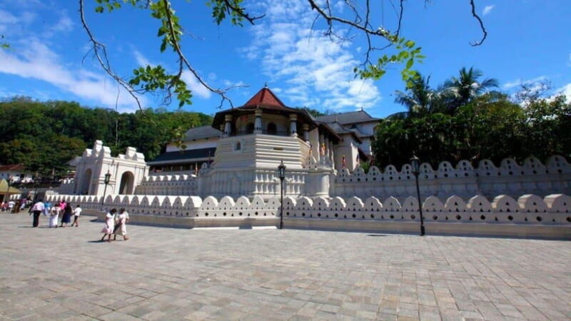 Kandy and Pinnawala: A Perfect 1-Day Tour Experience - The Practicalities: What to Expect