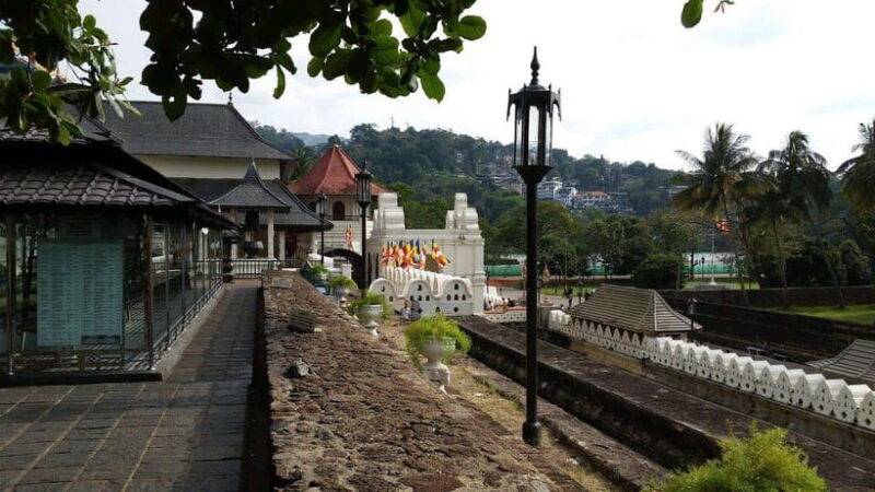 Kandy and Pinnawala: A Perfect 1-Day Tour Experience - Frequently Asked Questions