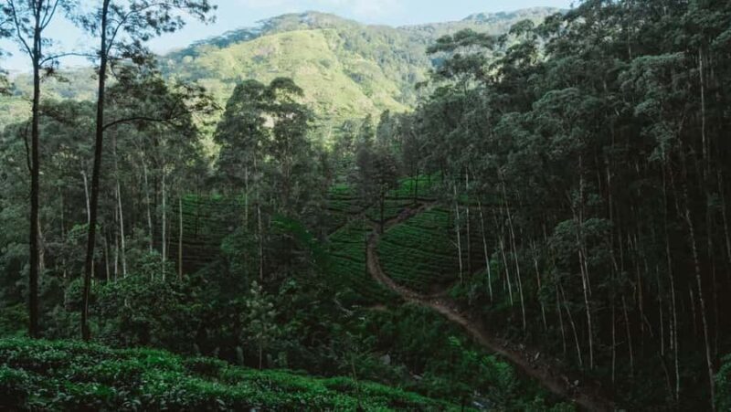 Kandy: Bike Rental with Helmet, Water, and Route Map - Key Points