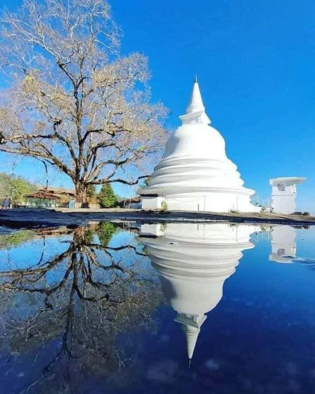 Kandy: Carvings, Stone Temples & Sacred Rituals Day Tour - Who Should Book This Tour?