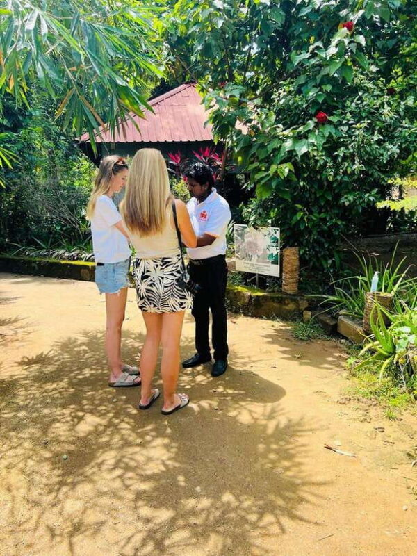 Kandy City Day Tour from Colombo, Negombo or Katunayake - FAQs