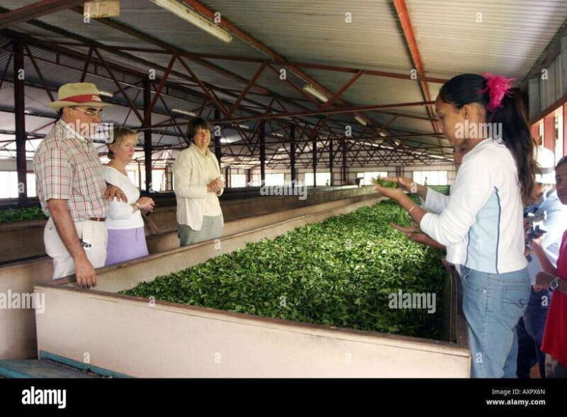 Kandy City Explore Full Day Tour , Like a Local - Key Points