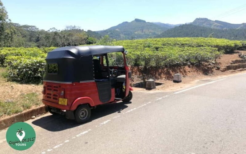 Kandy: City Explore with Local guide By Mini Van - A Comprehensive Look at the Kandy City Explore Tour