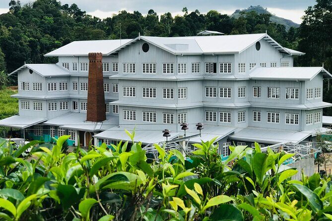 Kandy City Sightseeing and Ambuluwawa Tower by Tuk Tuk Tour - Final Thoughts: Is This Tour for You?