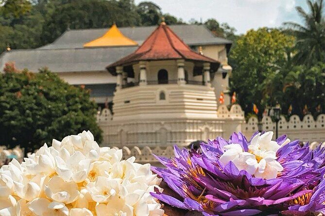 Kandy City Sightseeing and Ambuluwawa Tower by Tuk Tuk Tour - Final Verdict