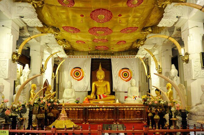 Kandy City Sightseeing Tour by Tuk Tuk - What Travelers Say: Authentic Feedback