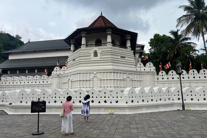 Kandy City Sightseeing Tour by Tuk Tuk - Who Will Love This Tour?
