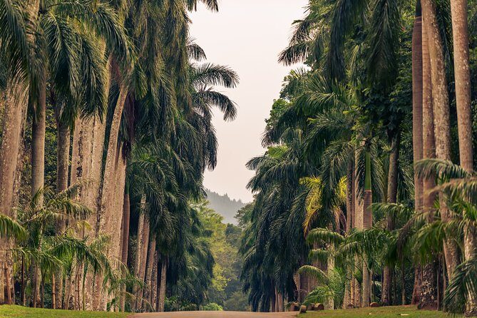 Kandy City Tour - Why This Tour Offers Real Value
