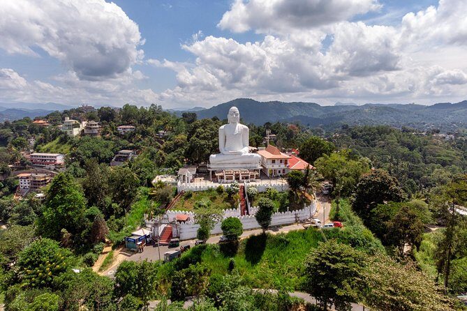 Kandy City Tour - Royal Botanical Gardens (Peradeniya)