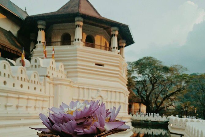 Kandy City Tour and day trip private luxury car and van - Final Thoughts