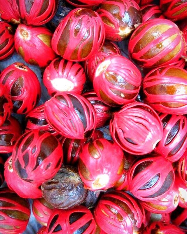 Kandy city tour and village tour in one day - Who Should Consider This Tour?