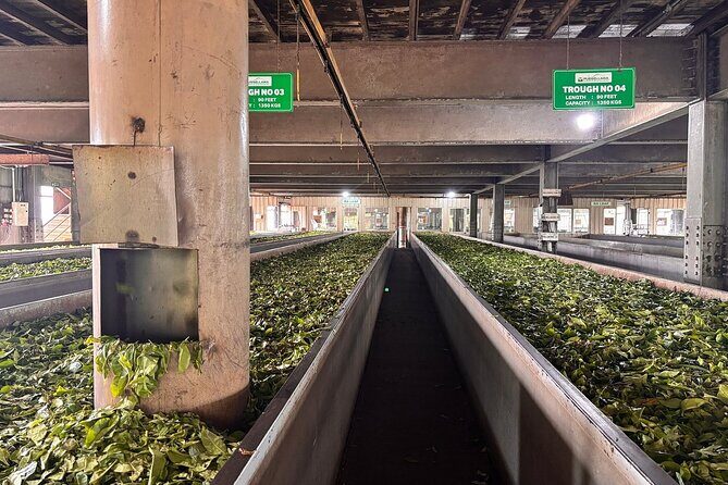 Kandy City Tour By Best Guide Lanka Tours - FAQ