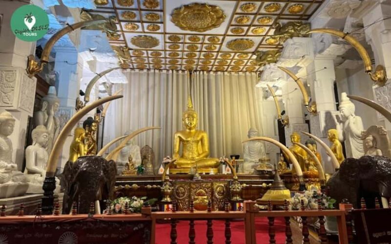 Kandy City Tour - Cultural Heart of Srilanka - Exploring the Heart of Kandy