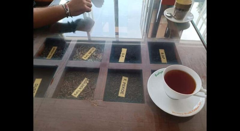 Kandy City Tour - Cultural Heart of Srilanka - Final Thoughts