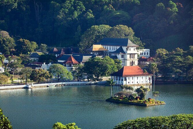 Kandy City Tour from Colombo - A Practical Introduction to the Kandy City Tour