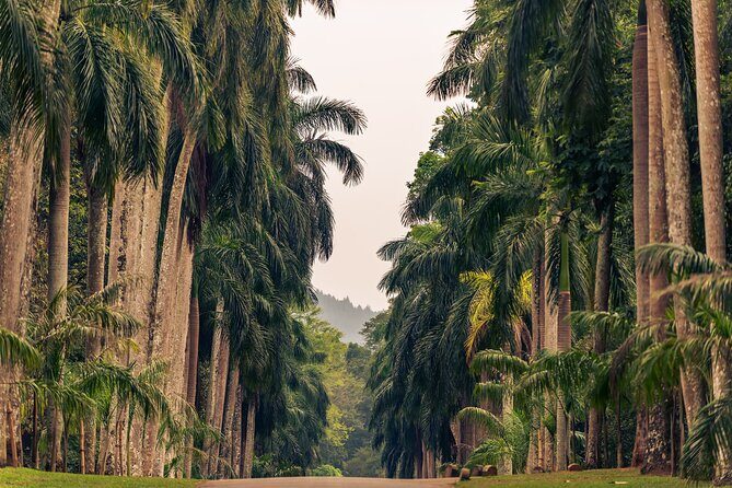 Kandy City Tour from Colombo - What Past Travelers Say