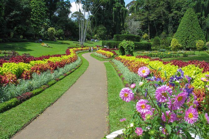 Kandy City Tour from Colombo - Final Thoughts: Is This Tour Right for You?