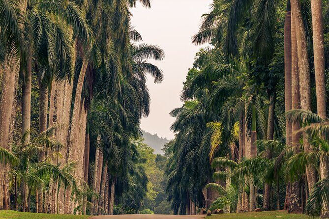 Kandy City Tour from Dambulla - The Practicalities and Value of the Tour