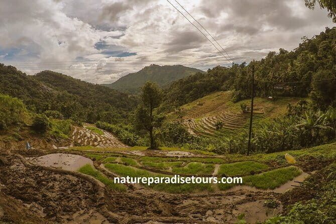 Kandy City Tour in a TukTuk - Why It’s a Great Choice for Travelers