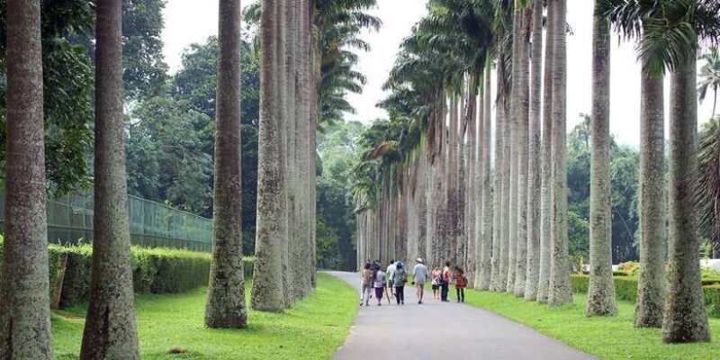 Kandy City Tour With Ambuluwawa Tower - Kandy City Tour With Ambuluwawa Tower