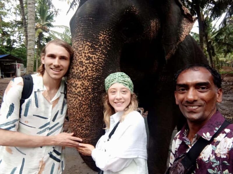 Kandy City Tour With SoltaHiro - Deep Dive into Highlights