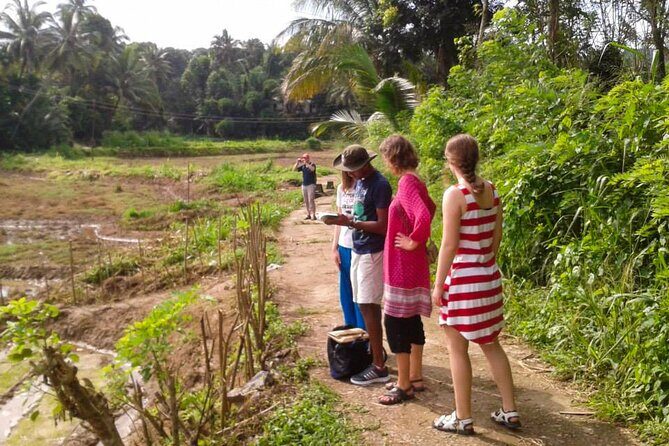 Kandy Countryside Walk - Who Should Sign Up?