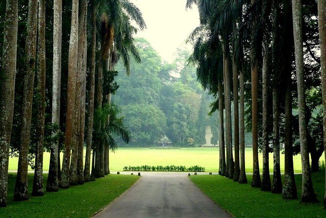 Kandy Day Tour - Exploring the Itinerary in Detail